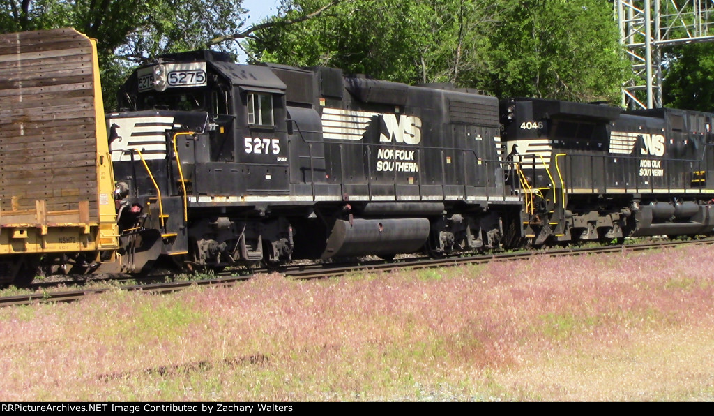 NS 5275